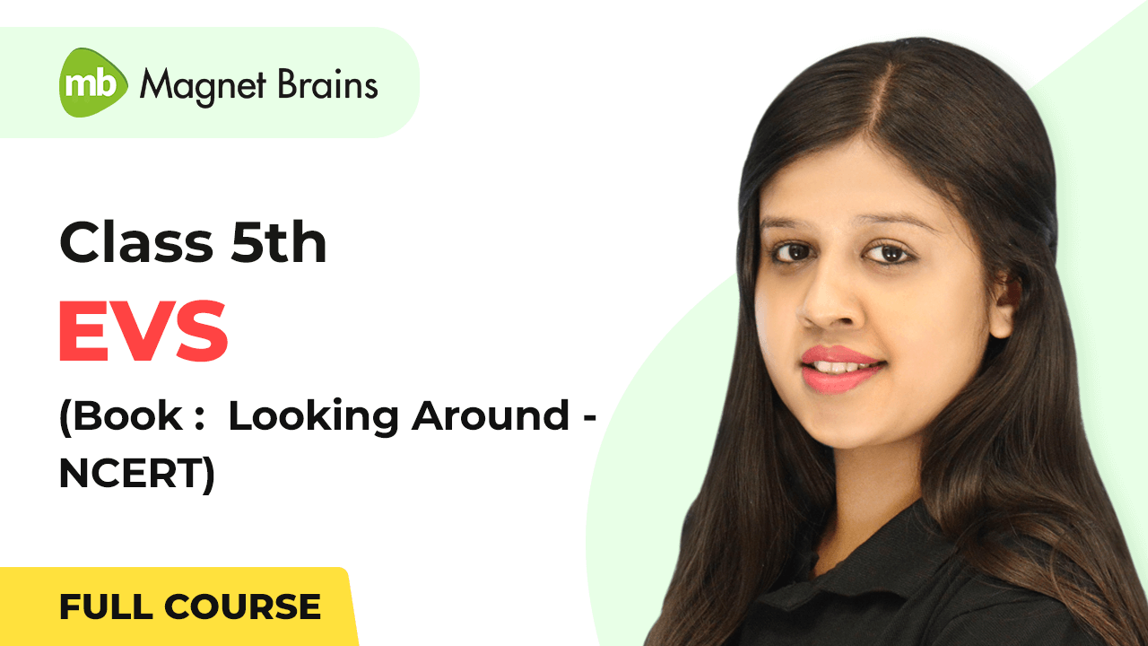 Class 5th EVS Video Tutorials In Hindi Magnet Brains
