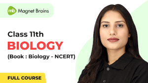 CBSE Class 11th (Science Stream) Full Video Course Archives - Magnet ...