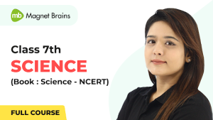 Class 7th Maths NCERT/CBSE – Updated Course