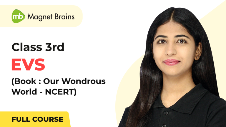 Class 3rd Maths Math Magic Book NCERT - Full Video Course - Magnet Brains