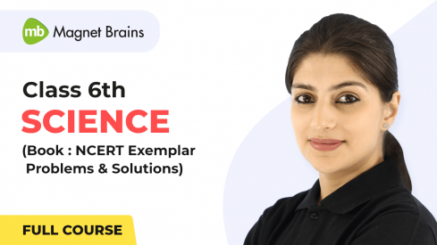 Class 6th Science NCERT Exemplar - Full Video Course - Magnet Brains